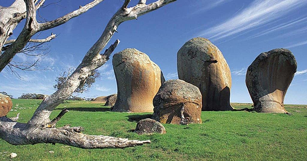 Point Labatt Sea Lion Loop Drive, South Australia | Roadtrippers