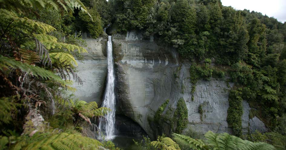 Taranaki's Best Walking Tracks | Roadtrippers