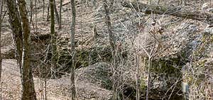 Shelta Cave, Alabama | Roadtrippers