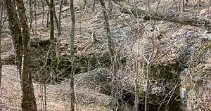 Shelta Cave, Alabama | Roadtrippers