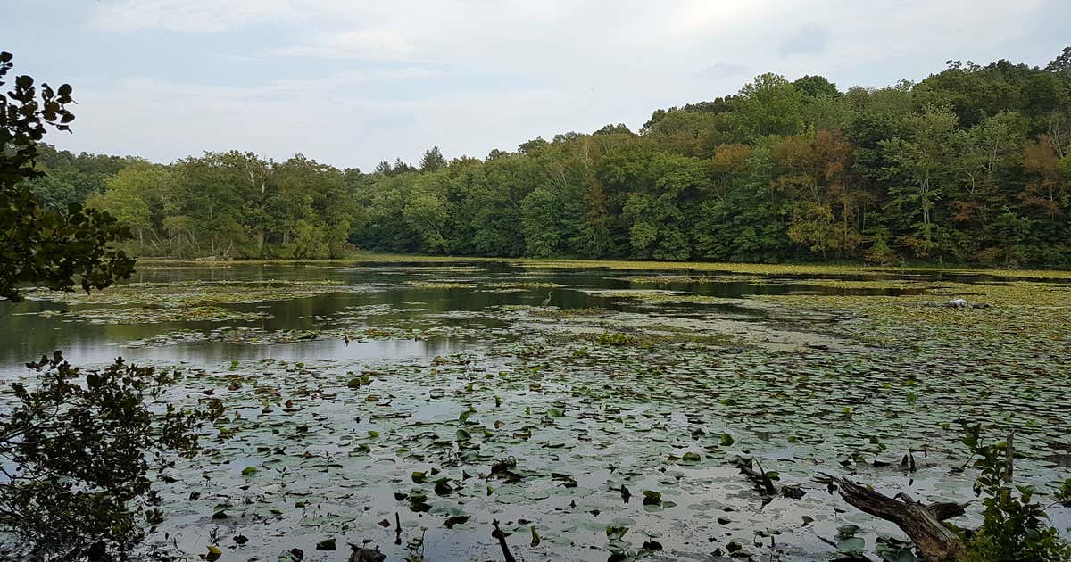 Teatown Lake Reservation, Ossining | Roadtrippers