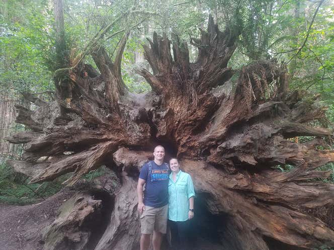 Photo of Stout Grove | Roadtrippers