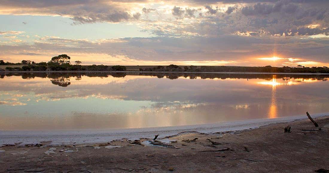 Pink Lake, South Australia | Roadtrippers