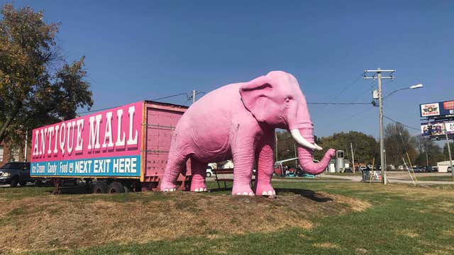 Pink Elephant Photography