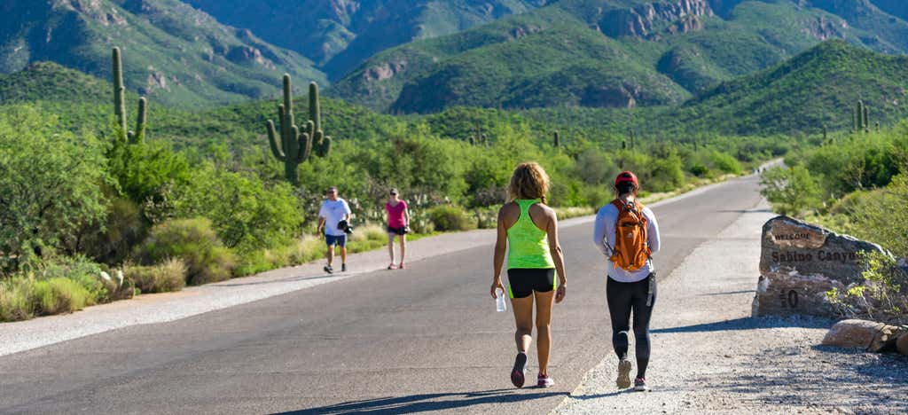 Outdoor Adventure in Tucson's Dramatic Desert Landscapes | Roadtrippers