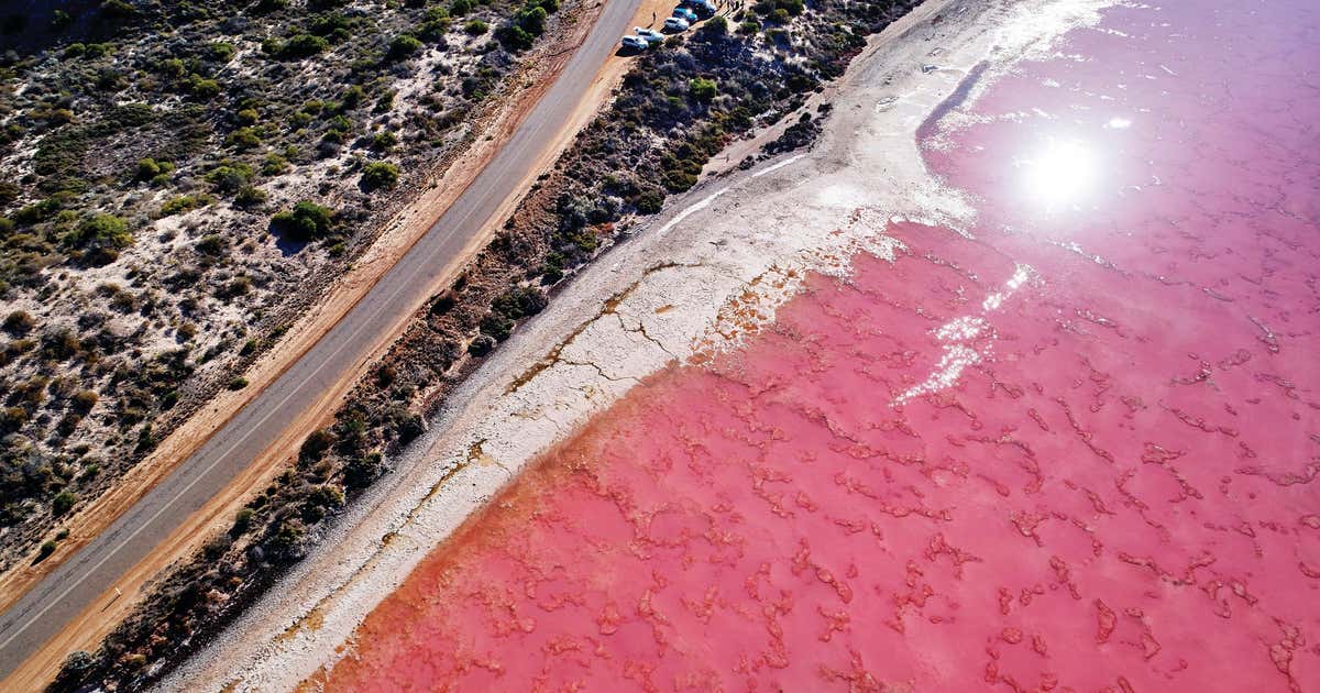 Hutt Lagoon, Western Australia | Roadtrippers