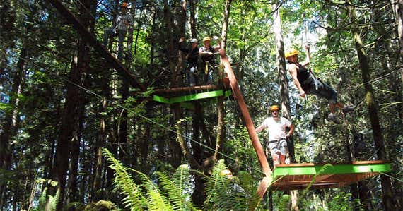 Treehouse Island Zipline Adventures, Washington | Roadtrippers