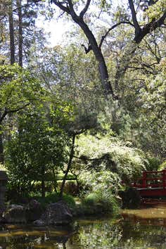 Photo of Micke Grove Park | Roadtrippers