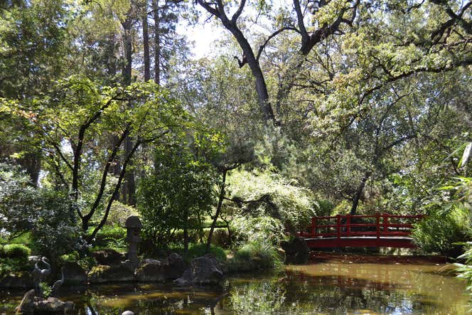 Photo of Micke Grove Park | Roadtrippers