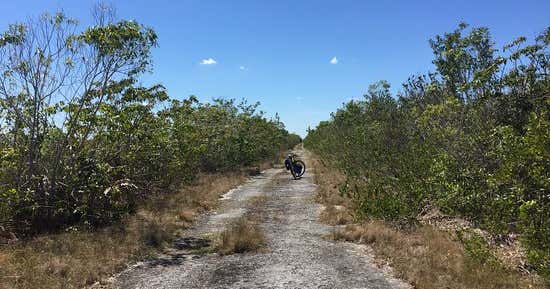 Old Ingraham Highway, Florida | Roadtrippers