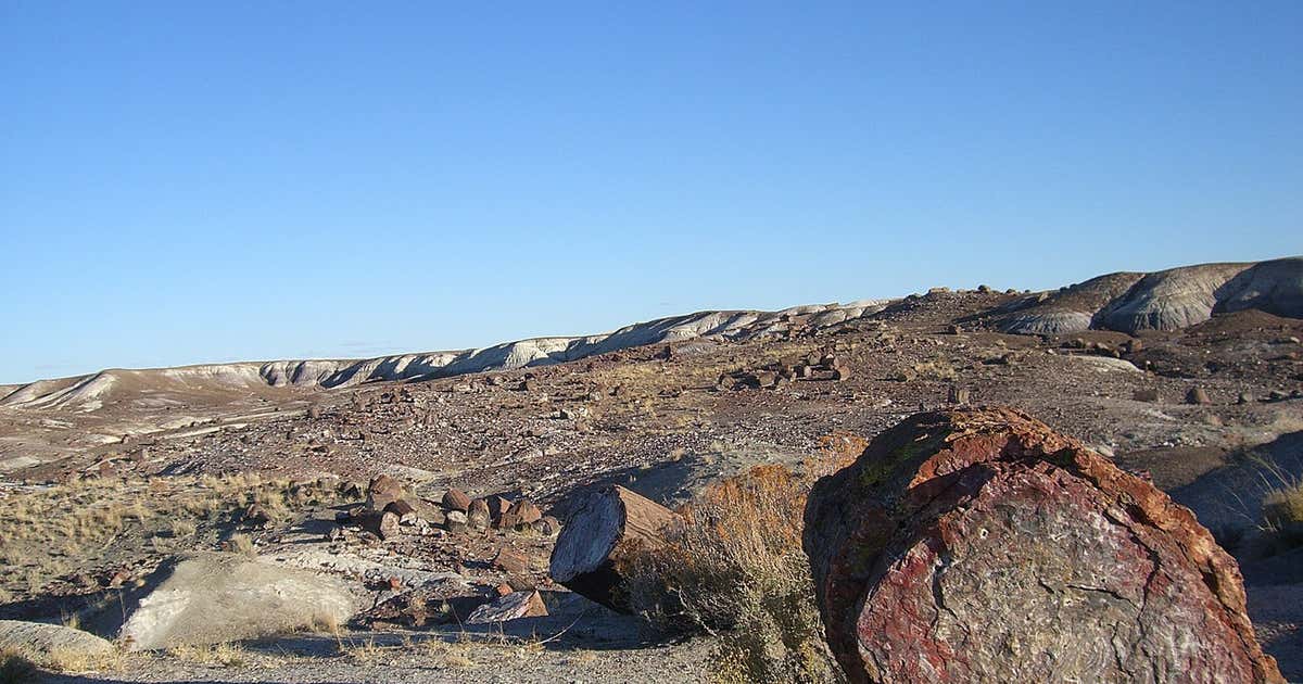 Crystal Forest Trail, Arizona | Roadtrippers