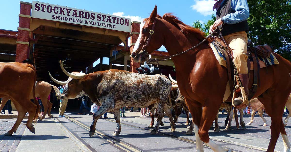 Fort Worth Stockyards National Historic District, Fort Worth | Roadtrippers