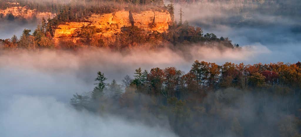 Here's why Red River Gorge is a must-visit natural wonder | Roadtrippers