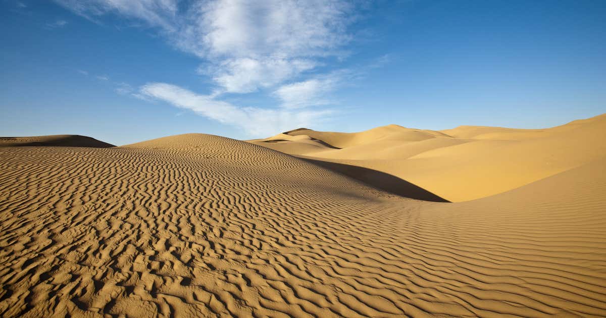 Imperial Sand Dunes Recreation Area, Brawley | Roadtrippers
