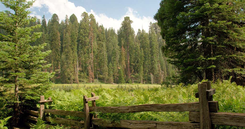 Crescent Meadow, Three Rivers | Roadtrippers