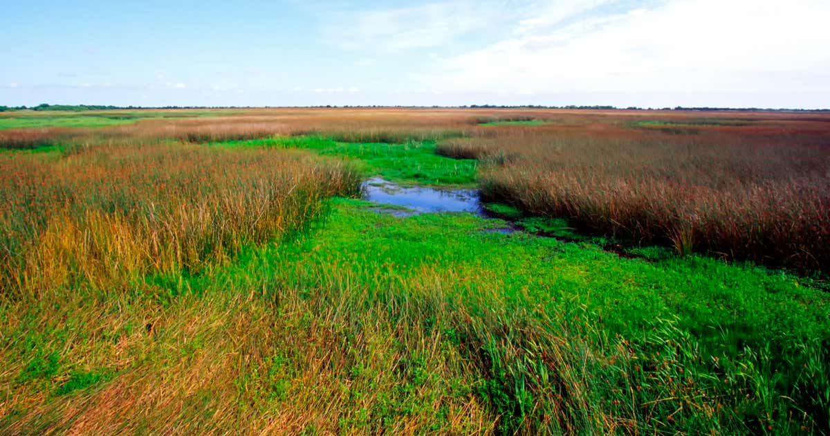 Sabine National Wildlife Refuge, Hackberry | Roadtrippers