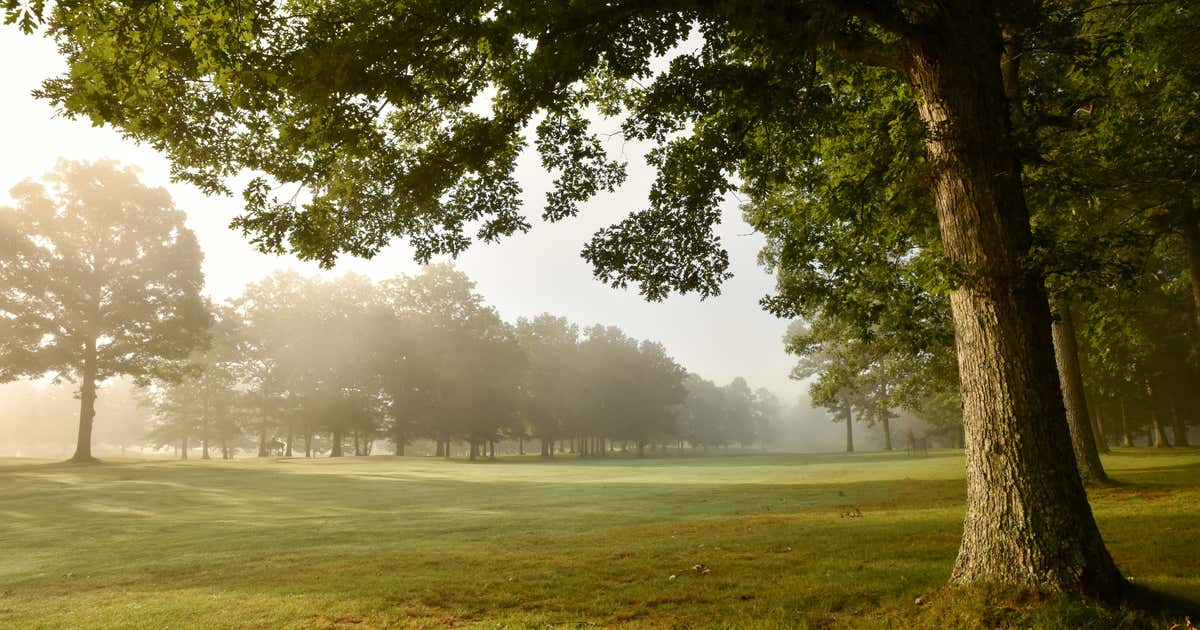 Pipestem Resort State Park, Pipestem | Roadtrippers