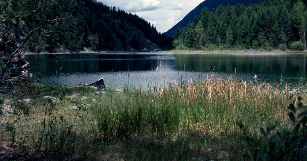 Premier Lake Provincial Park Campground, British Columbia | Roadtrippers