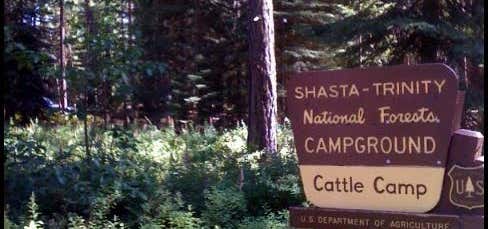 Cattle Camp Campground, McCloud | Roadtrippers