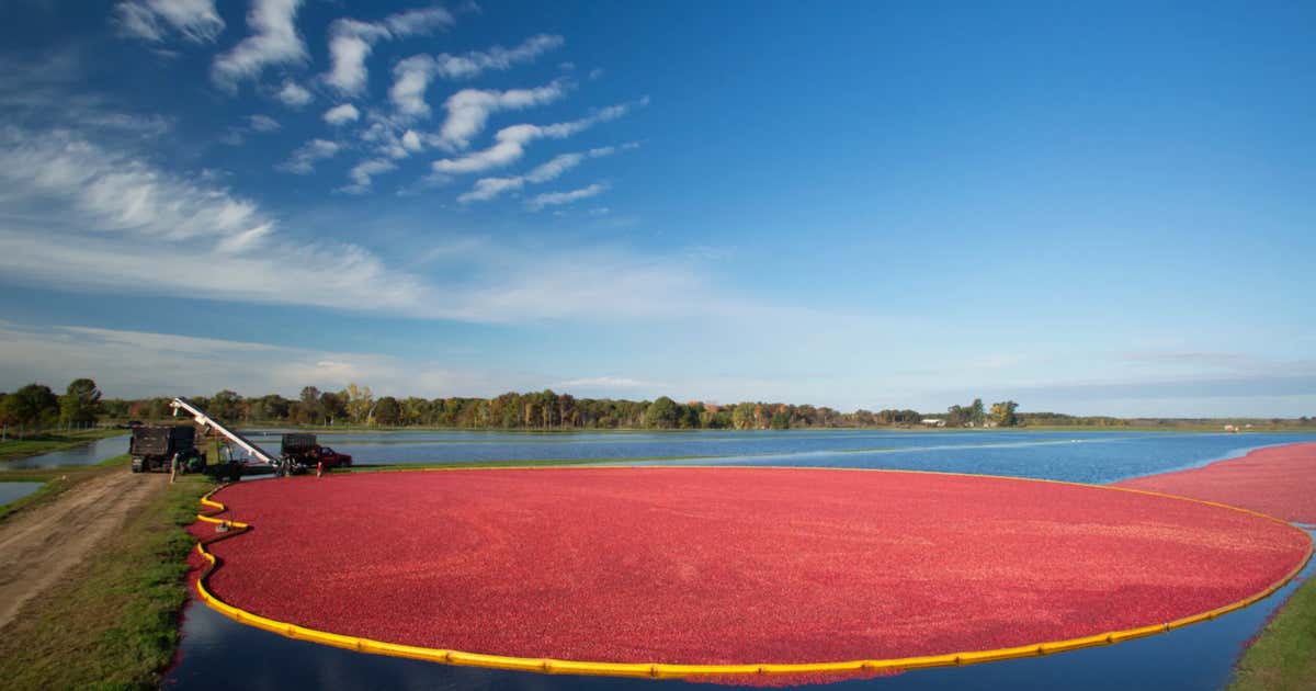 Glacial Lake Cranberries, Wisconsin Rapids | Roadtrippers