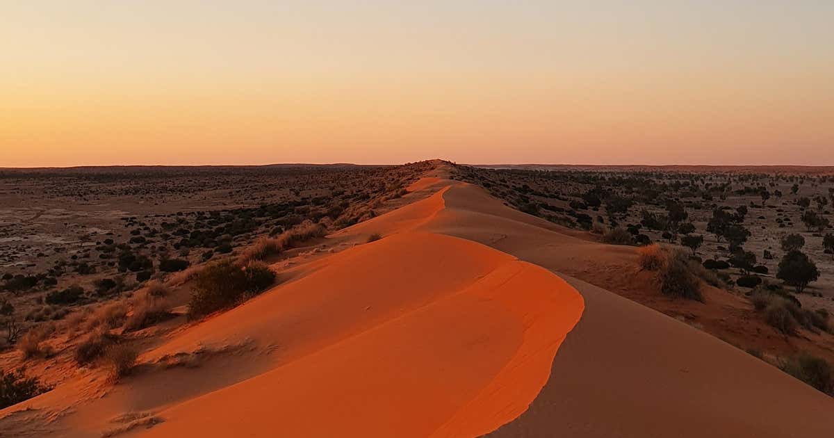French Line - Simpson Desert, Queensland | Roadtrippers