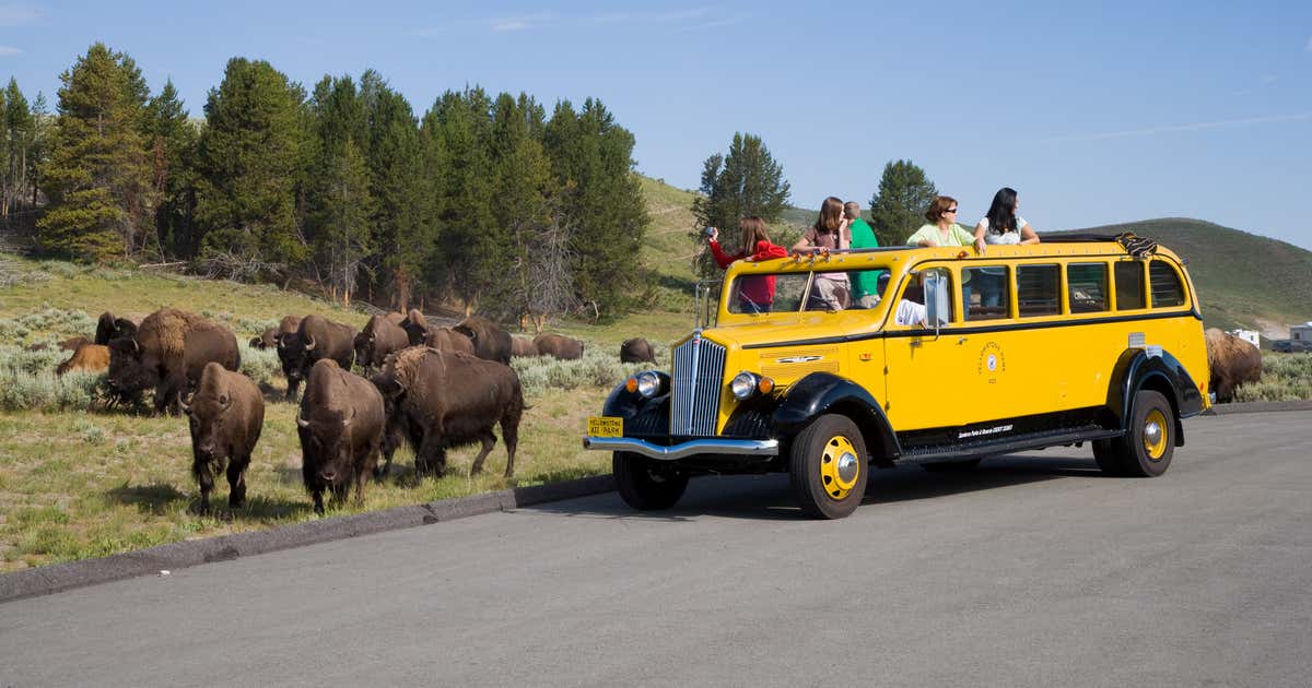 Historic Yellow Bus Tour, Wyoming | Roadtrippers