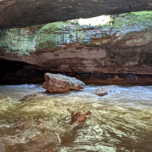 Photo of Rock Bridge Memorial State Park | Roadtrippers