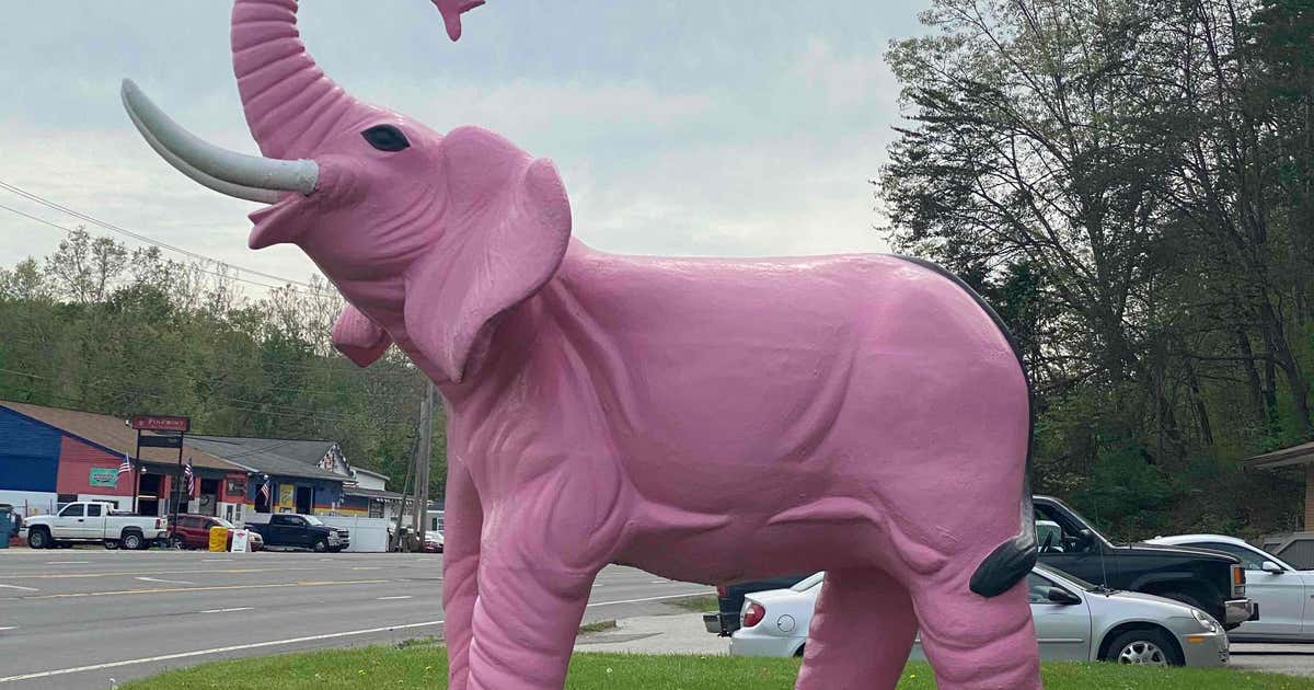 The Pink Elephant, Barboursville | Roadtrippers
