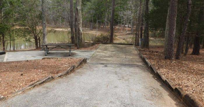 Divine Springs Campground, Nevada | Roadtrippers