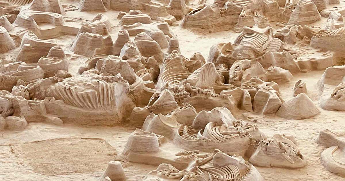 Ashfall Fossil Beds State Historical Park, Royal | Roadtrippers