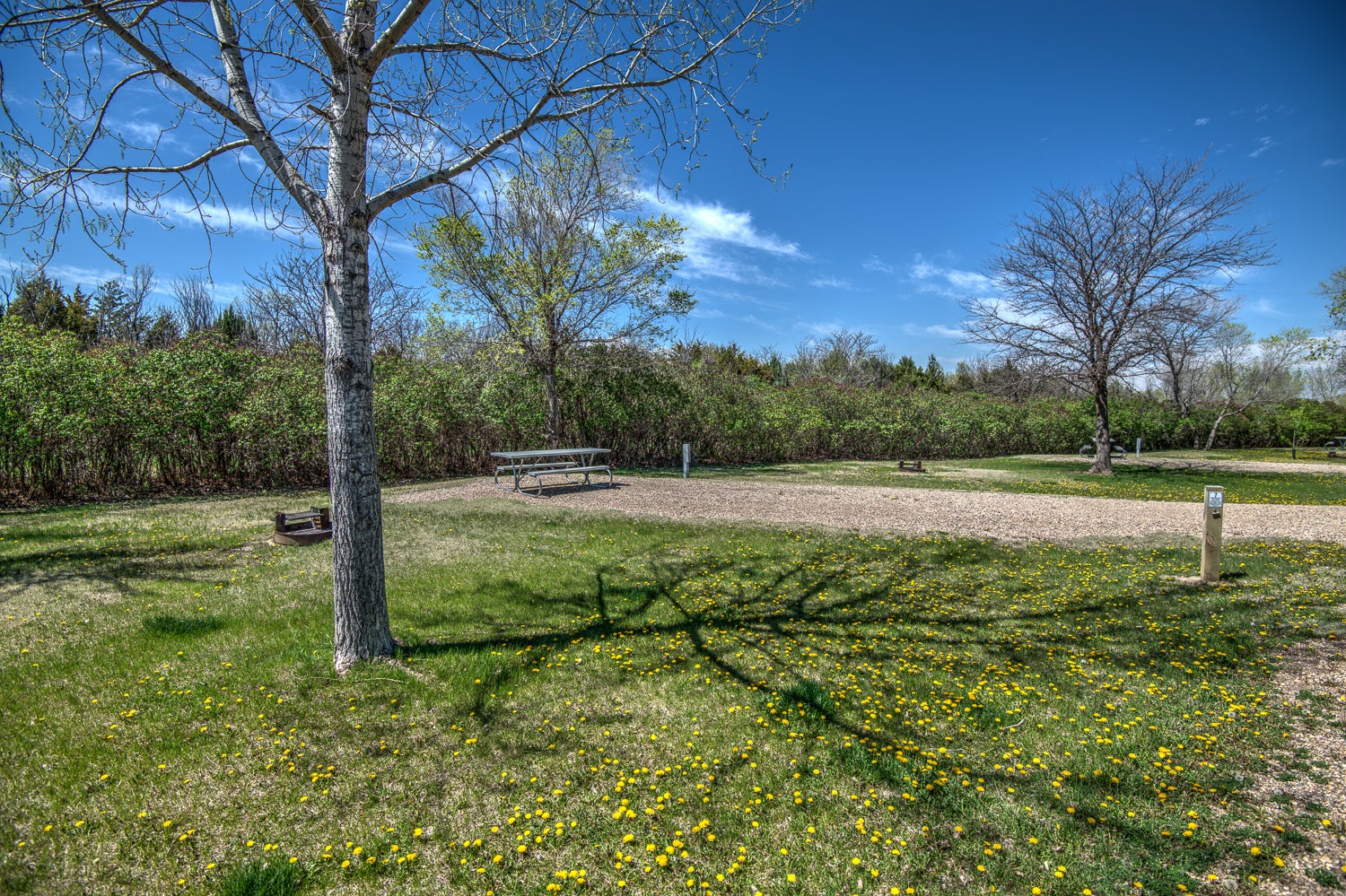 Cow Creek State Rec Area, Pierre | Campendium