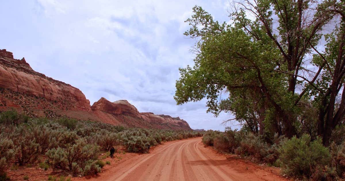 Comb Wash Campground, Blanding | Roadtrippers