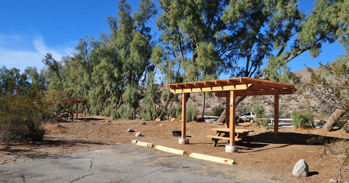 Tamarisk Grove Campground, Borrego Springs | Roadtrippers
