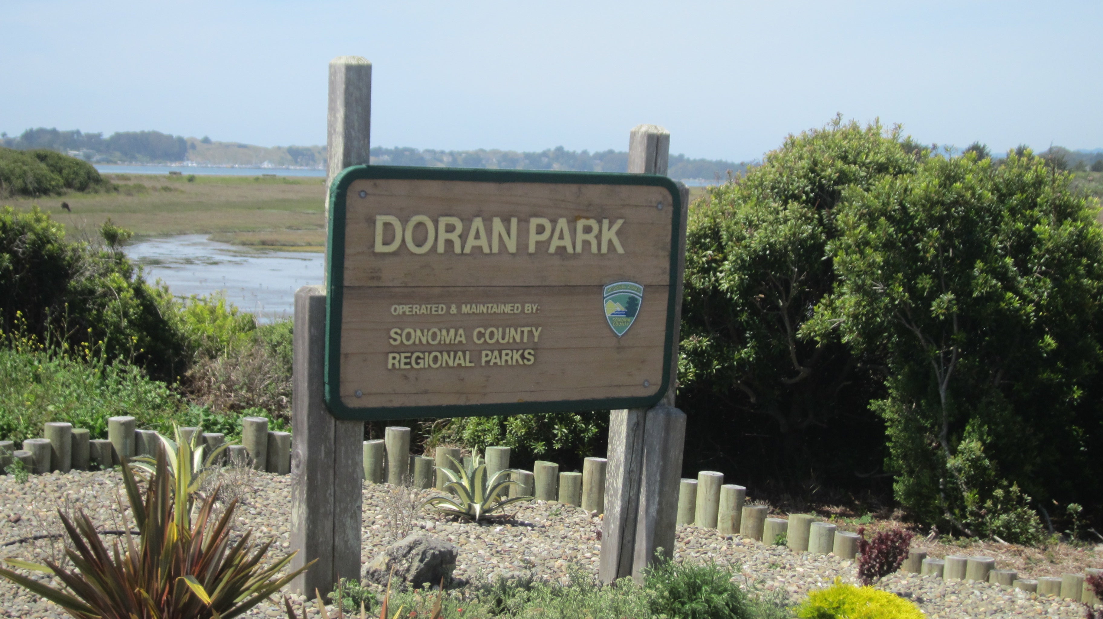 Doran Regional Park Campground, Bodega Bay | Campendium