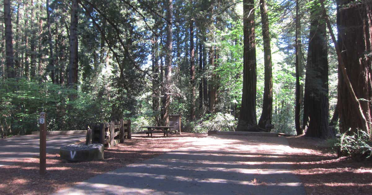 Samuel Taylor State Park, Lagunitas | Roadtrippers