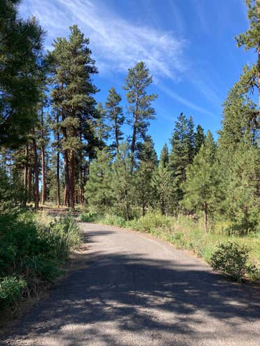 Photo of Idlewild Campground | Roadtrippers