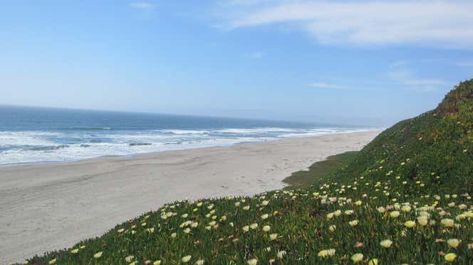 Photo of Sunset State Beach | Roadtrippers