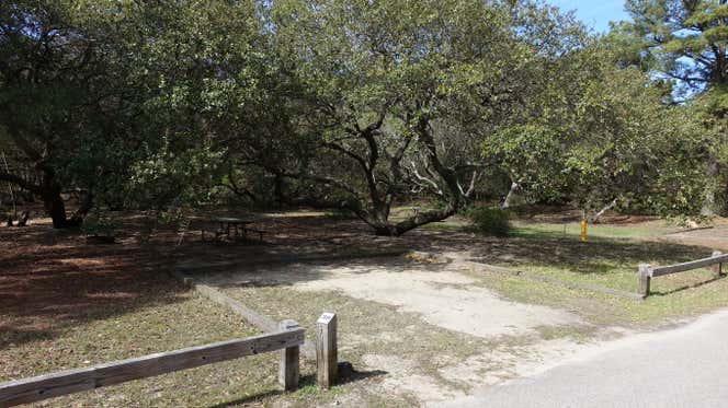 Photo of First Landing State Park Campground | Roadtrippers