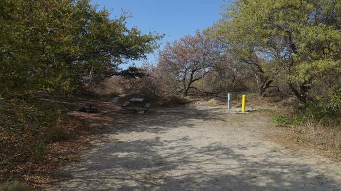 Photo of First Landing State Park Campground | Roadtrippers