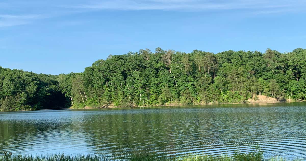 Deam Lake State Recreation Area Campground, Borden | Roadtrippers