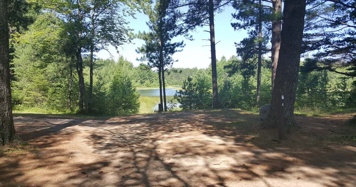 Kingston Lake State Forest Campground, Shingleton | Roadtrippers