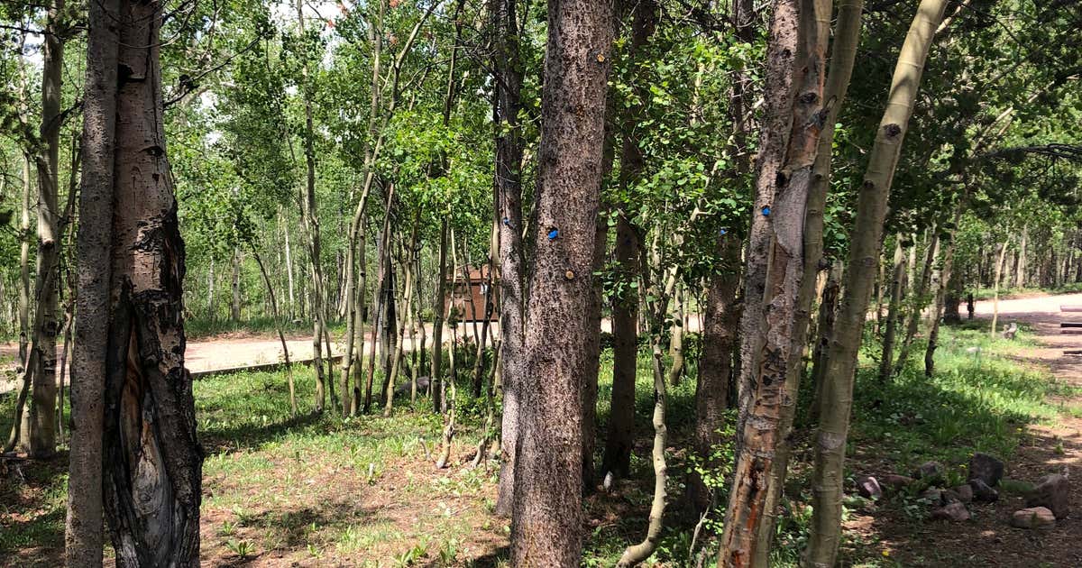 Stateline Campground, Duchesne | Roadtrippers