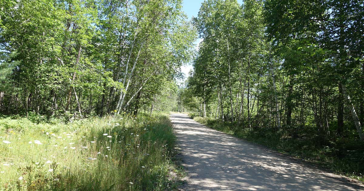 Shelldrake Dam, Paradise | Roadtrippers