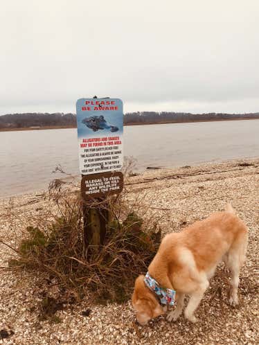 Photo of Meaher State Park Campground | Roadtrippers