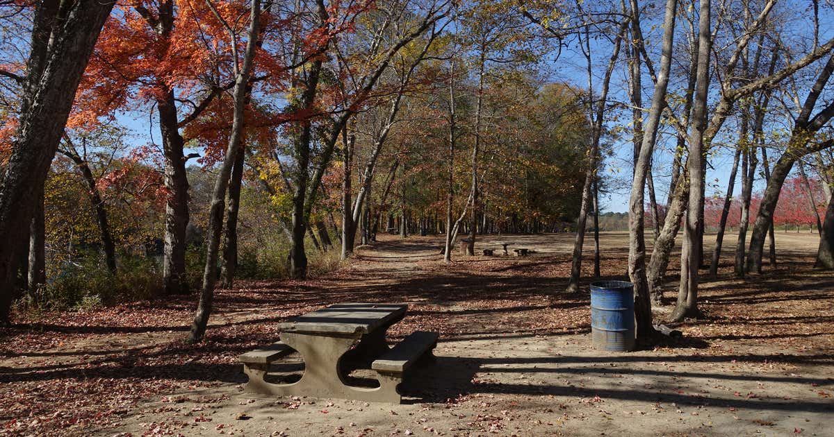 McIntosh Reserve Park, Whitesburg | Roadtrippers