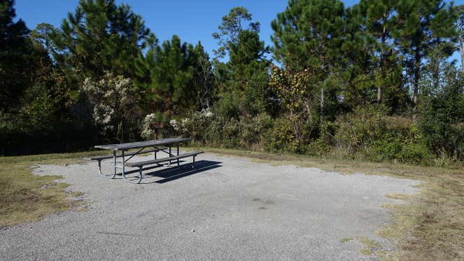 Photo of Gulf State Park Campground | Roadtrippers