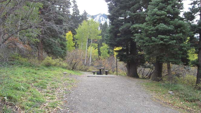 Photo of Amphitheater Campground | Roadtrippers