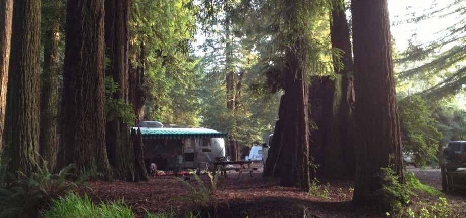 Emerald Forest Cabins & RV, Trinidad | Roadtrippers