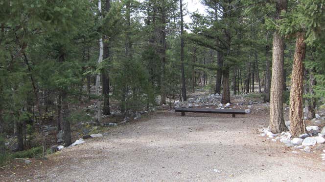 Photo of Angel of Shavano Campground | Roadtrippers