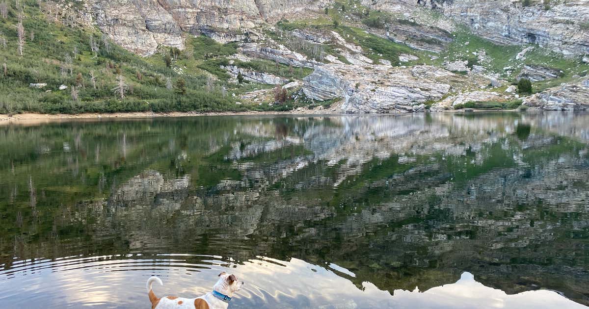 Angel Lake Campground, Wells | Roadtrippers